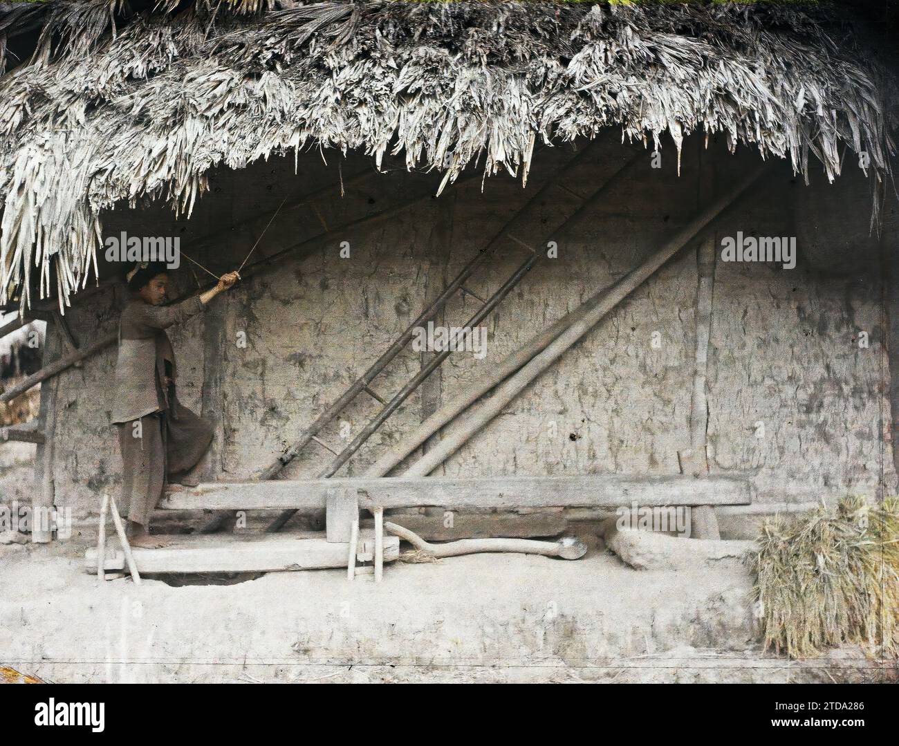 Tonkin, Indochina A young girl operating the rice-whitening pestle with ...