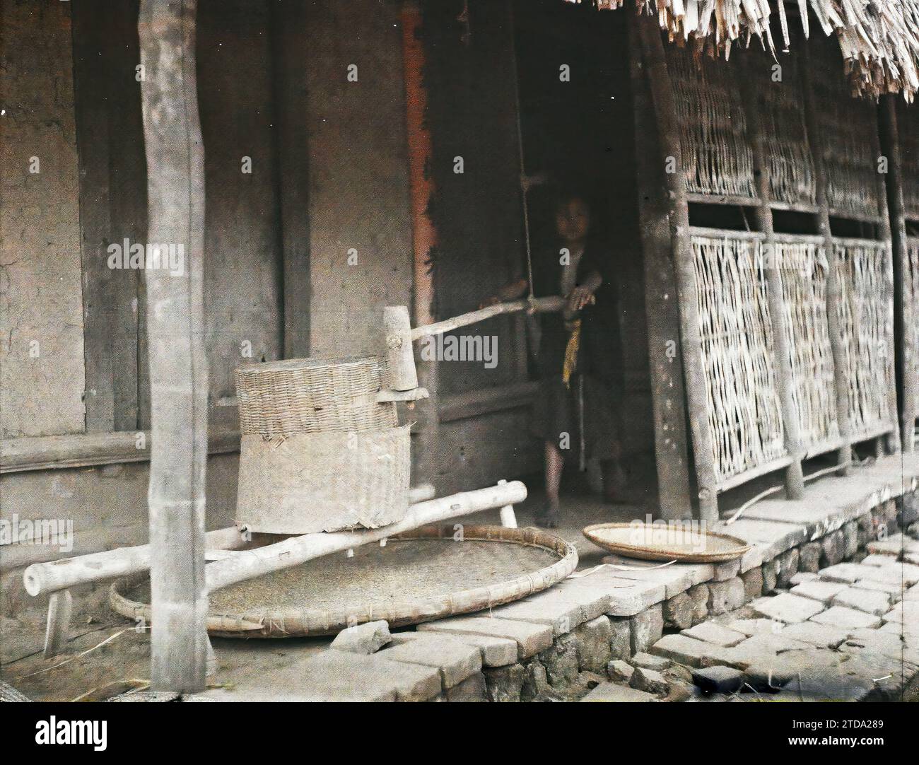 Tonkin, Indochina A young girl operating a paddy hulling mill, in a ...
