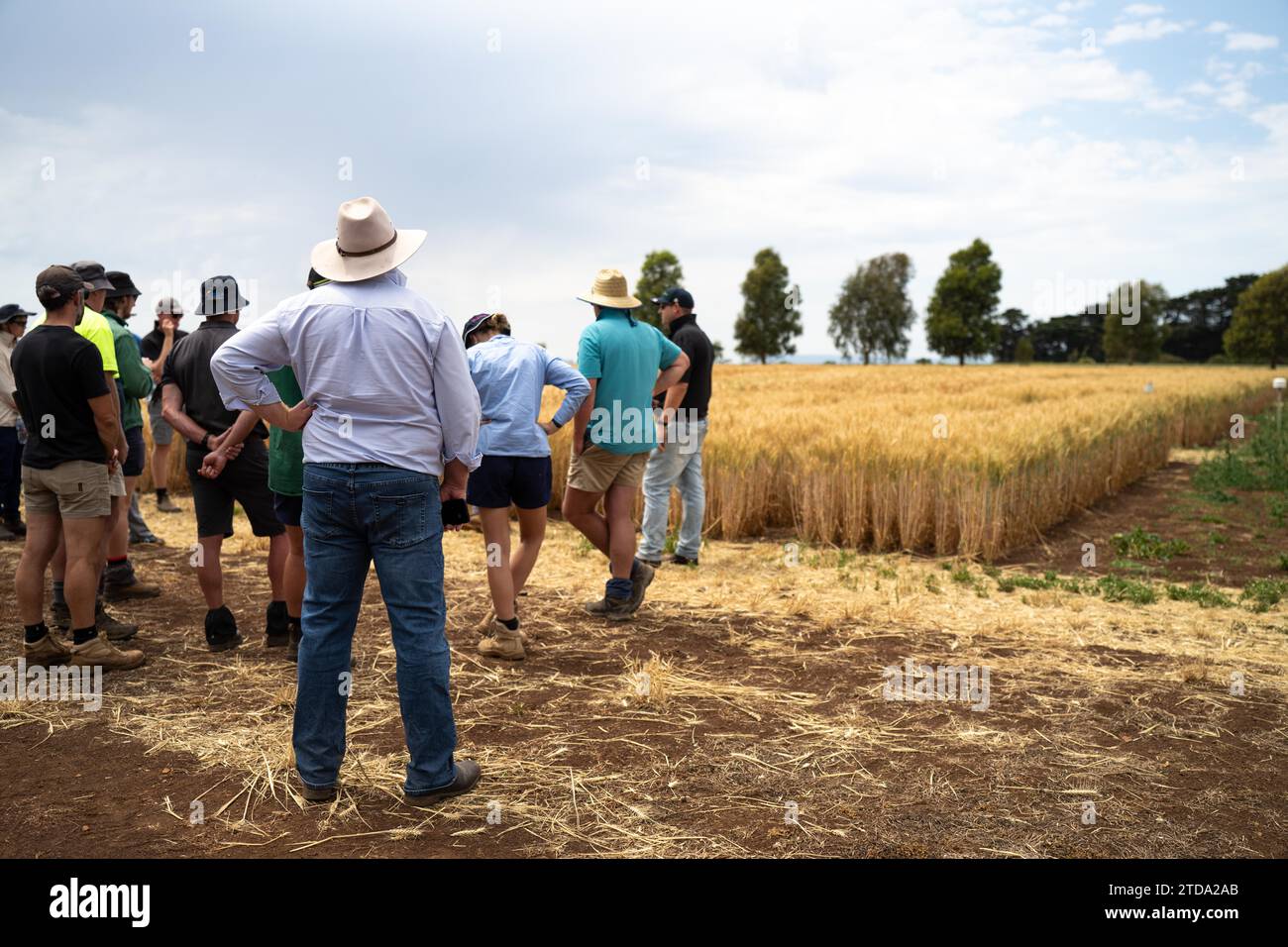 group of farmers doing a crop walk learning about crop health and ...