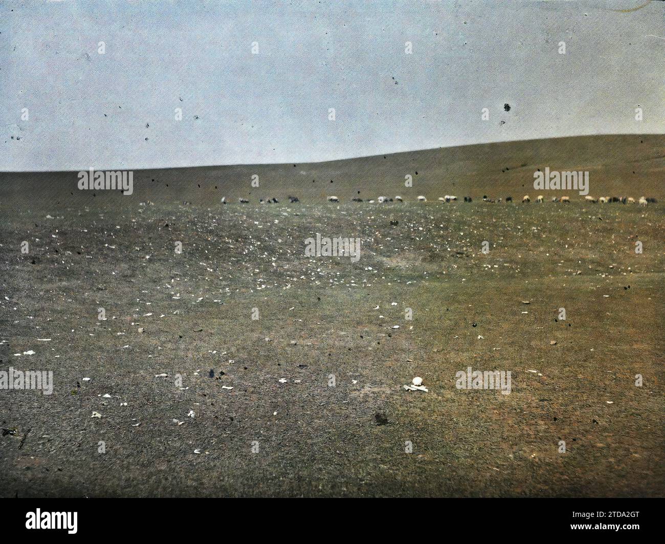 1913 mongolie hi-res stock photography and images - Alamy