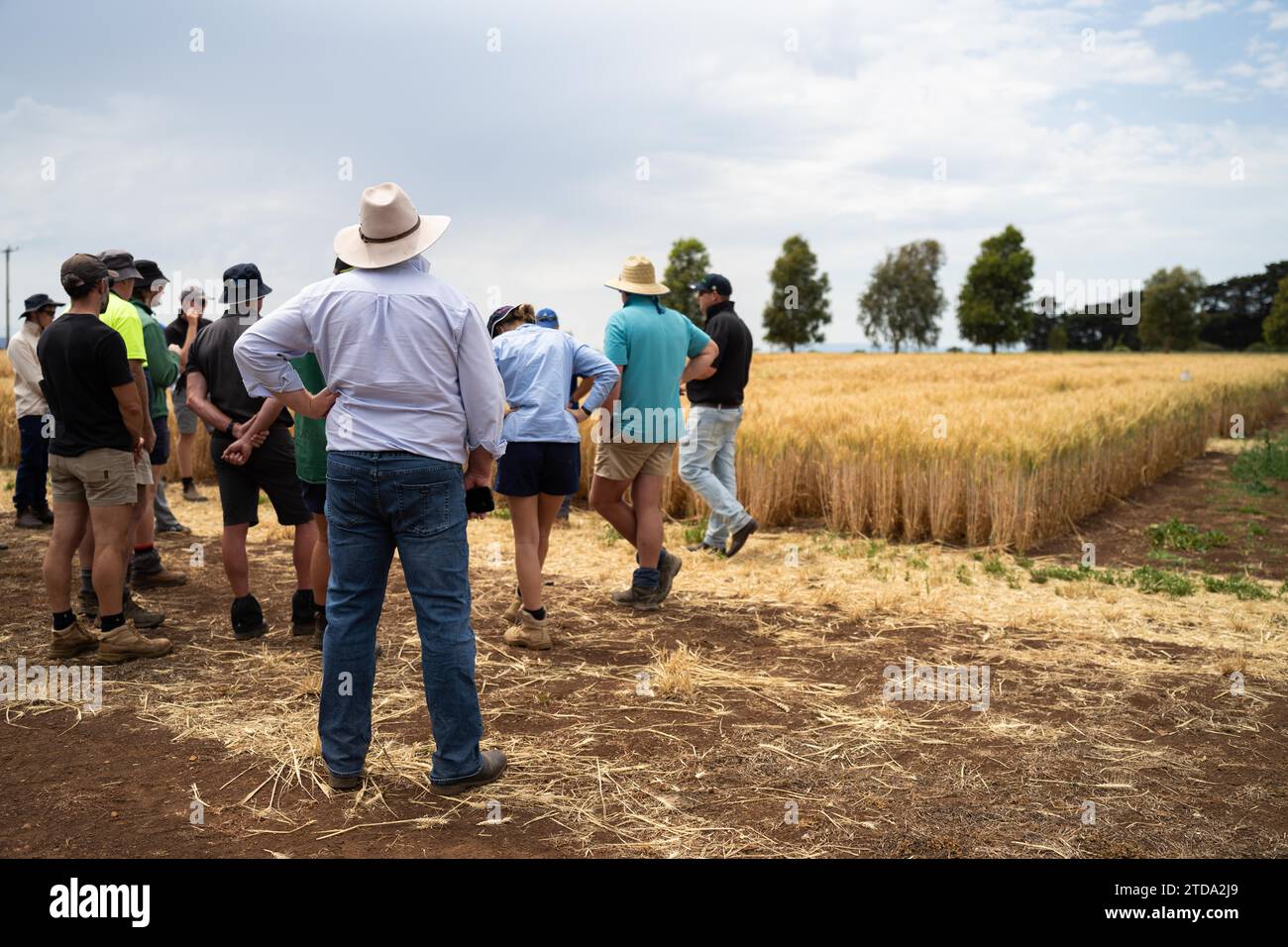 Farming group of farmers learning about crop health and farmers mental ...