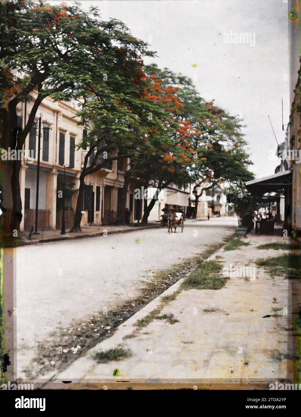 Hà-nôi, Hainoi Vietnam, Tonkin, Indochina The 'rue des Cups', lined ...