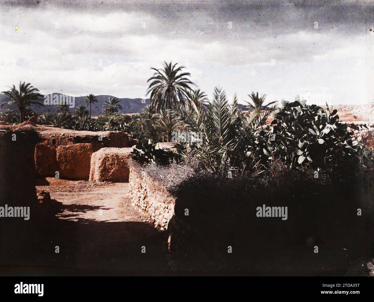 El kantara algerie hi-res stock photography and images - Alamy