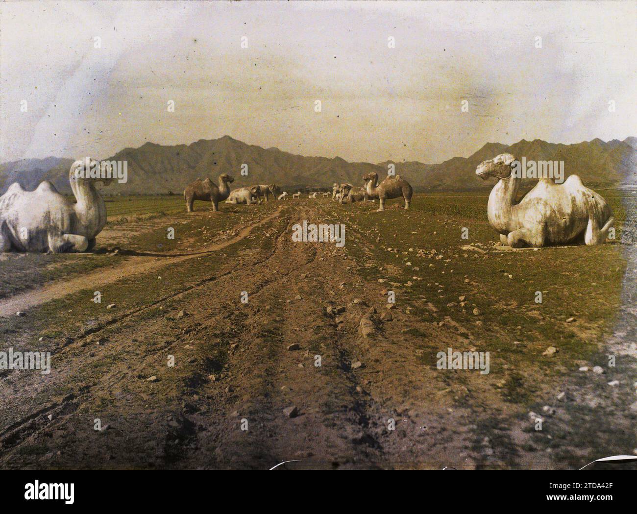 Changping, China Ming Shisanling ('Thirteen Tombs of the Ming'), Nature ...