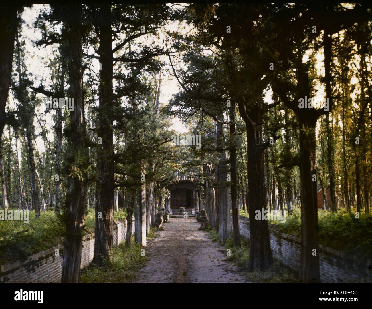 Confucius tomb park hi-res stock photography and images - Alamy