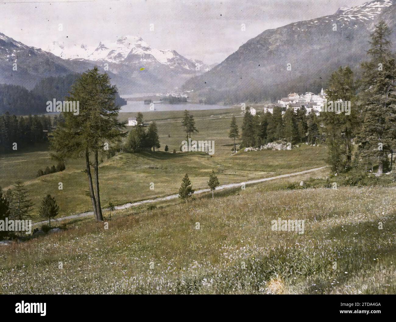 St . Moritz, Switzerland Lake Champfer, Nature, Environment, Landscape ...