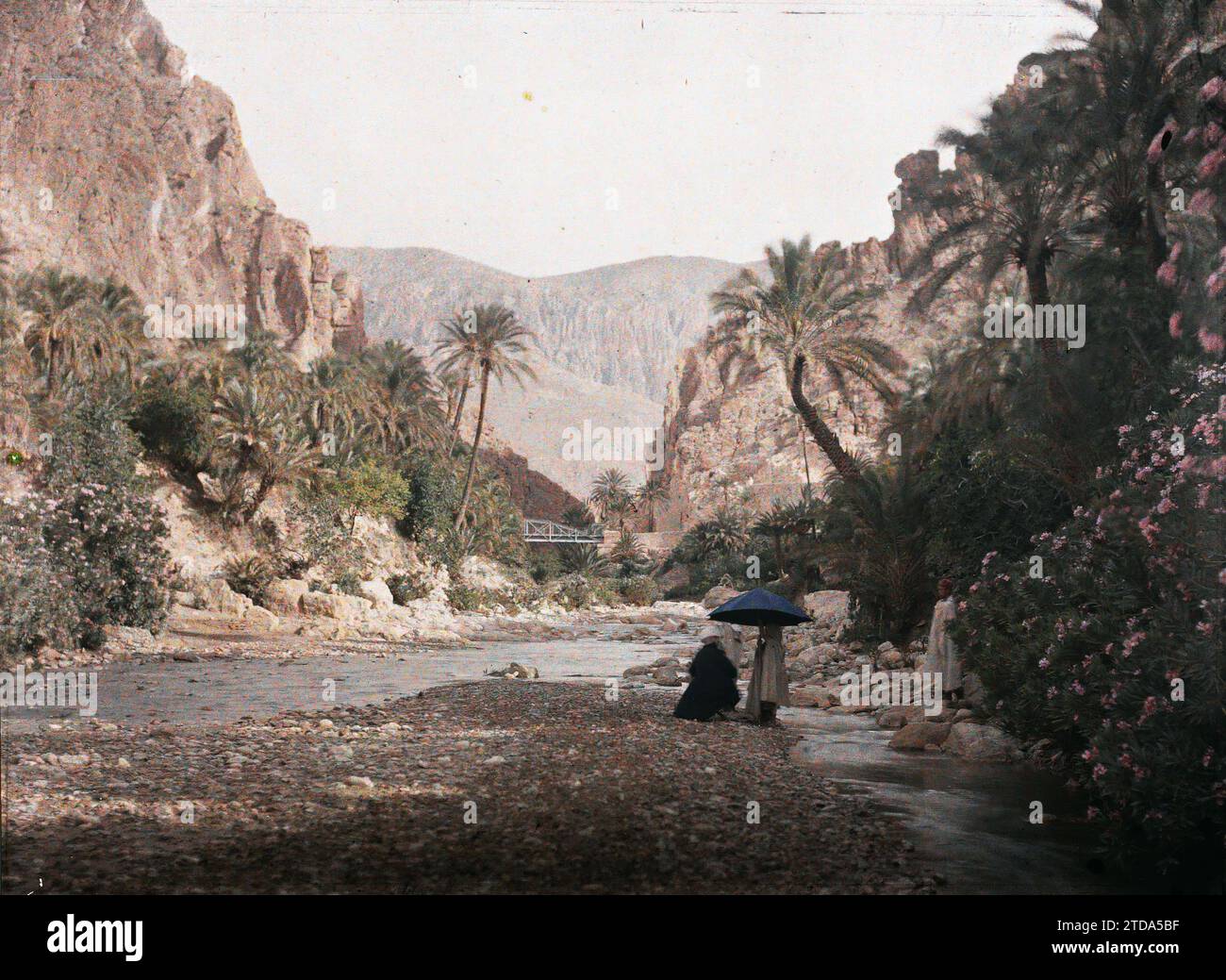 El kantara algerie hi-res stock photography and images - Alamy