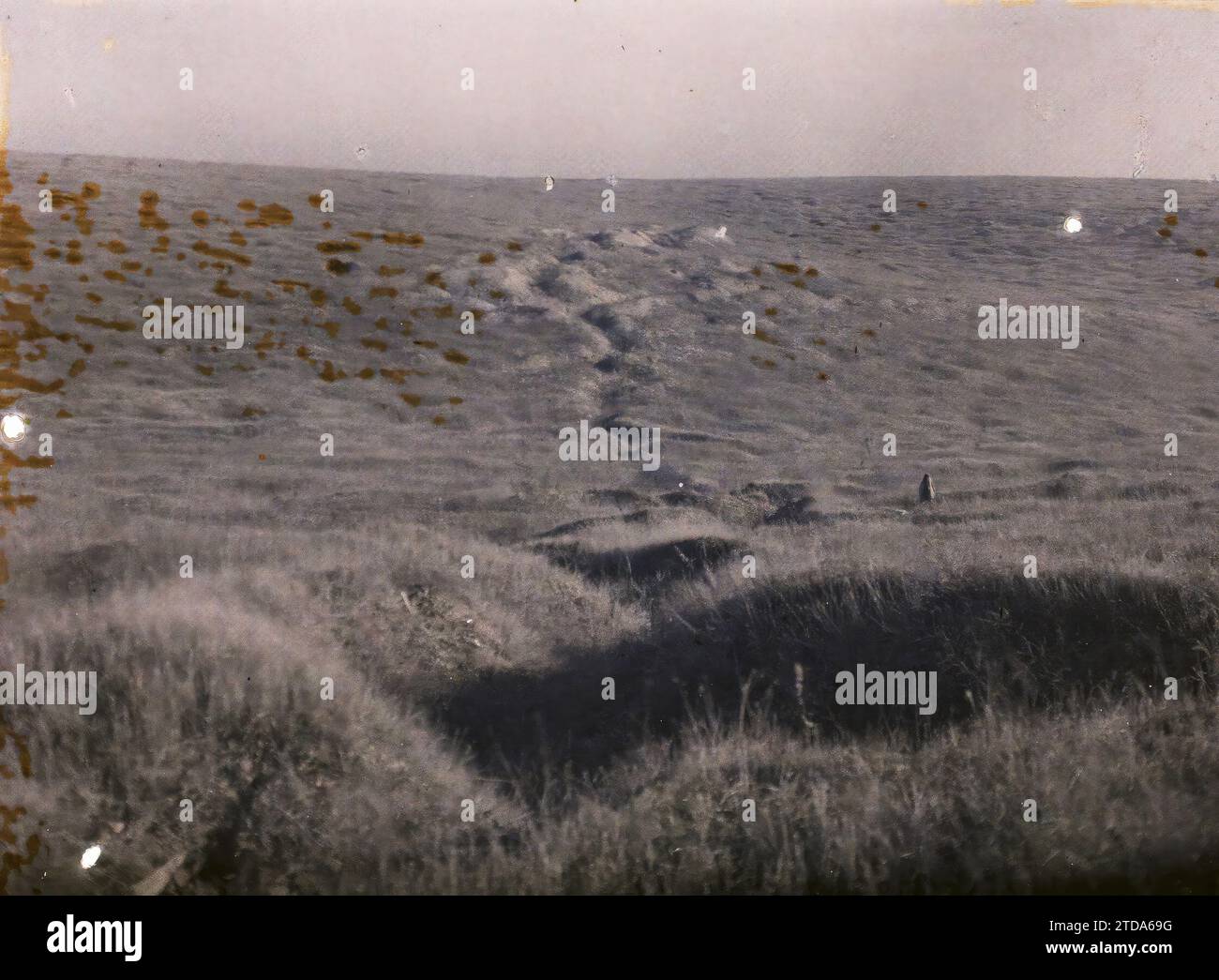 Le Mort-Homme, France, Nature, Environment, First World War, Landscape ...