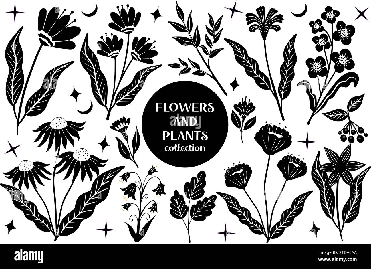 Set of black abstract flowers and leaves.botanical linocut plant and ...