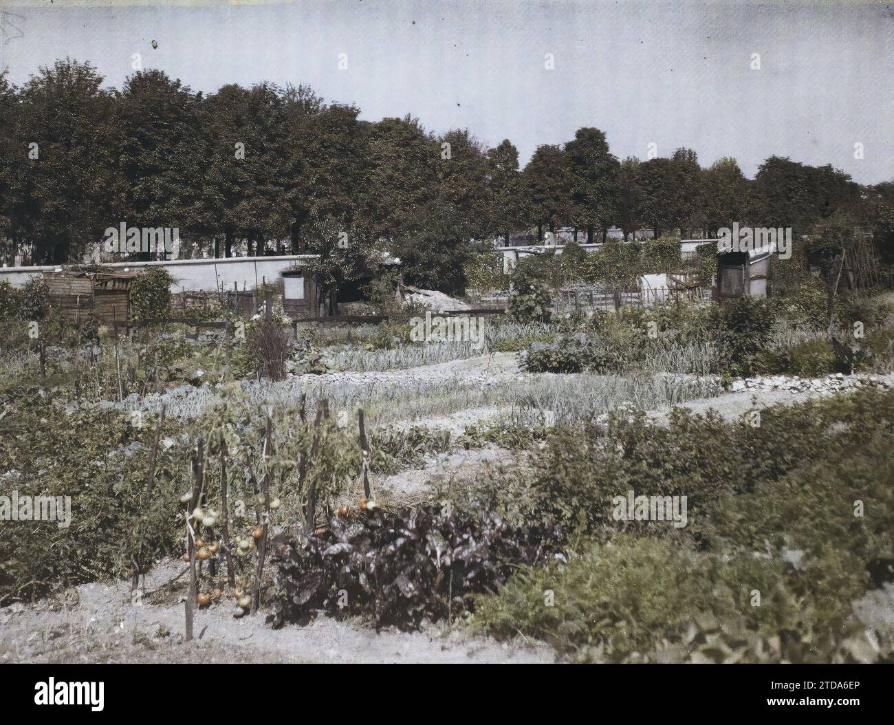 Gardens batignolles cemetery hi-res stock photography and images - Alamy
