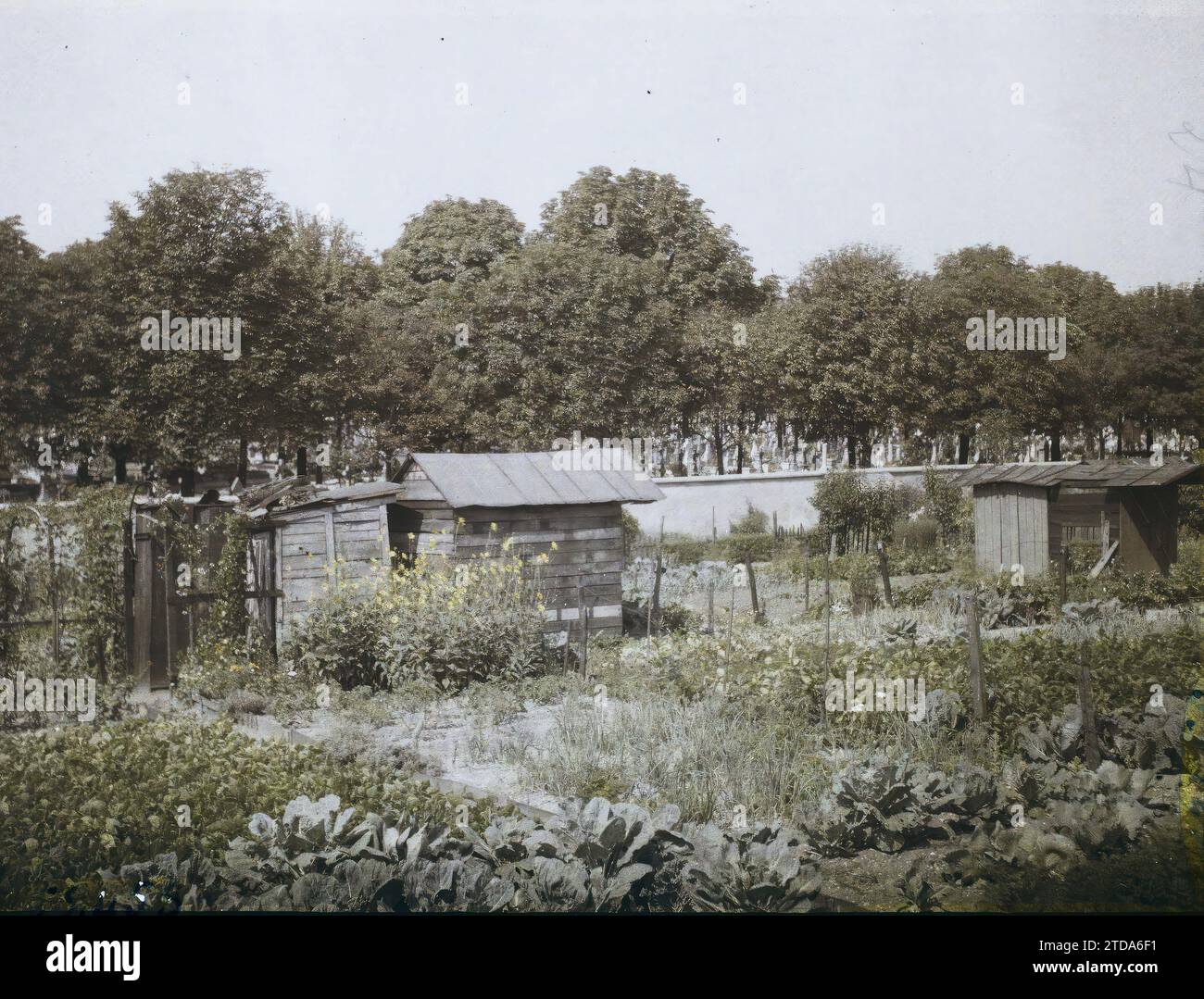 Gardens batignolles cemetery hi-res stock photography and images - Alamy