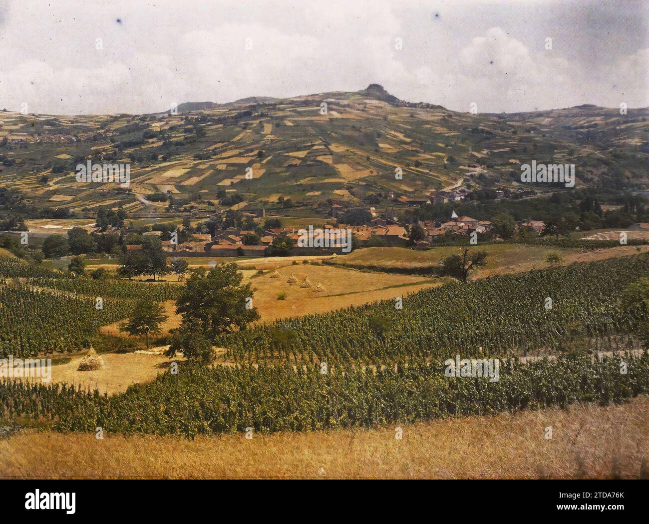 Yronde-et-Buron, France, Nature, Environment, Economic activity ...