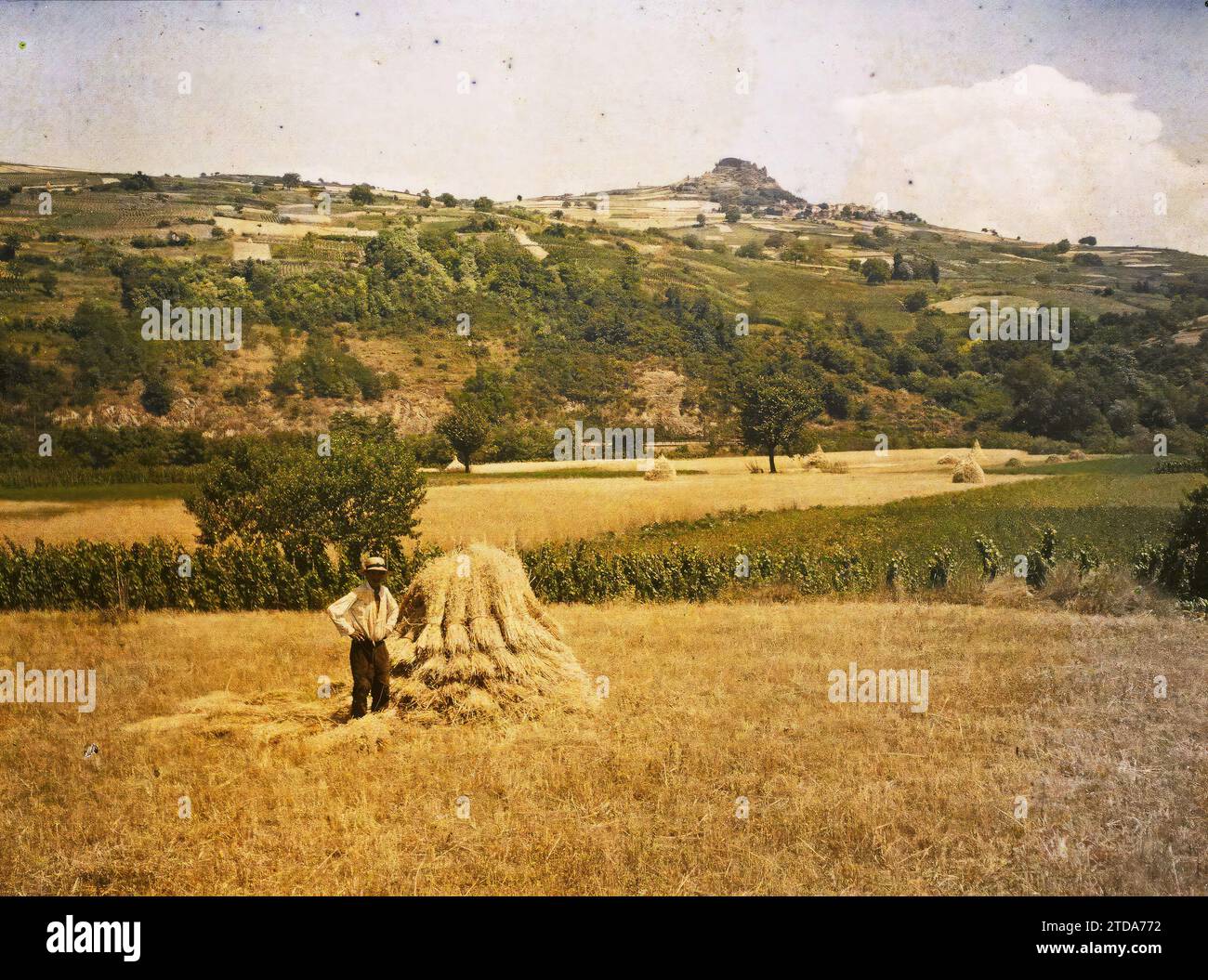 Yronde-et-Buron, France, Nature, Environment, Economic activity ...