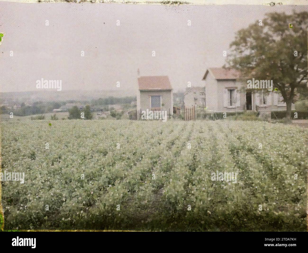 Agriculture breeding field rural architecture housing economic activity ...