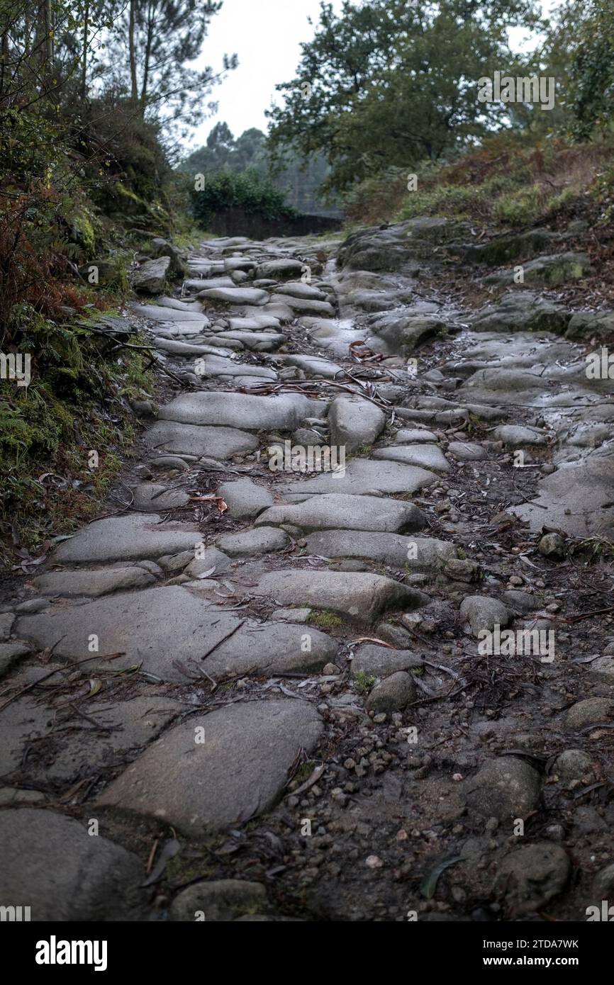 A stone path on the Santiago Way. Galicia, Spain Stock Photo - Alamy