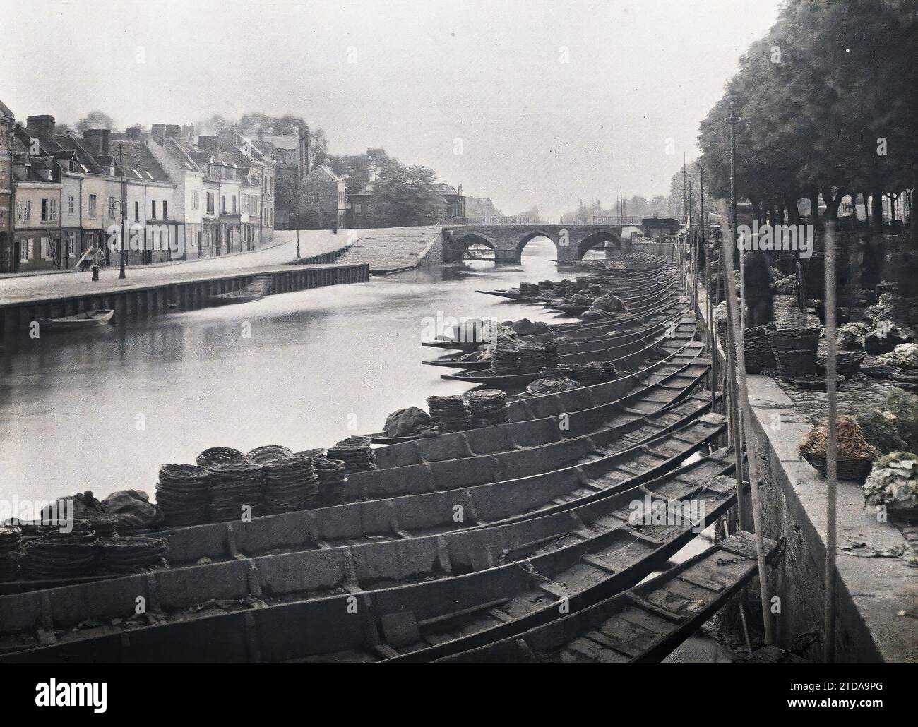 Amiens, France, Economic activity, Habitat, Architecture, Nature ...