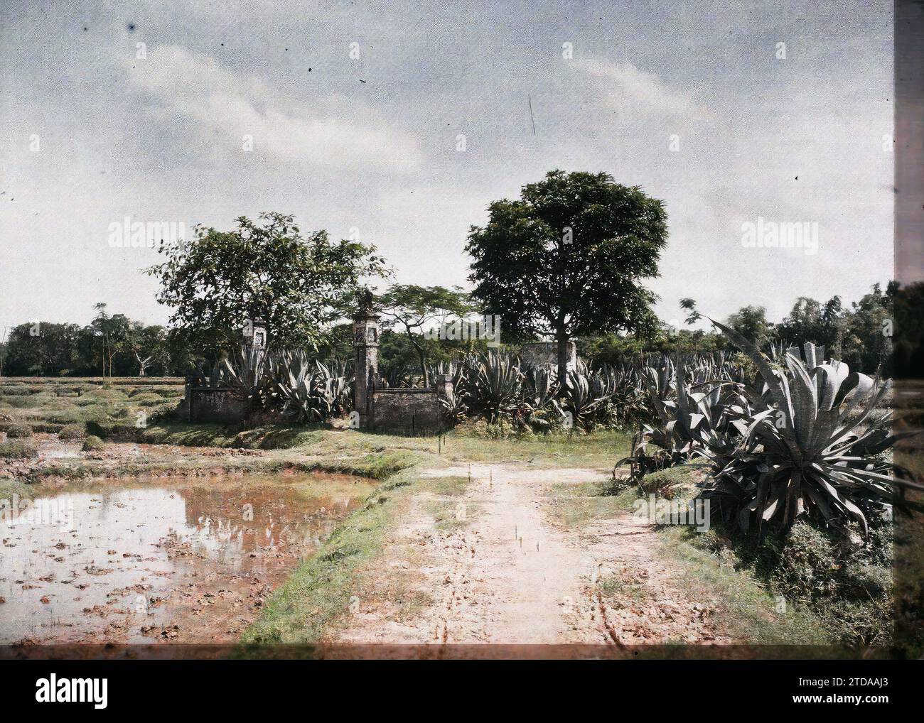 Province of Hà-dông, Tonkin, Indochina A rural monument surrounded by ...