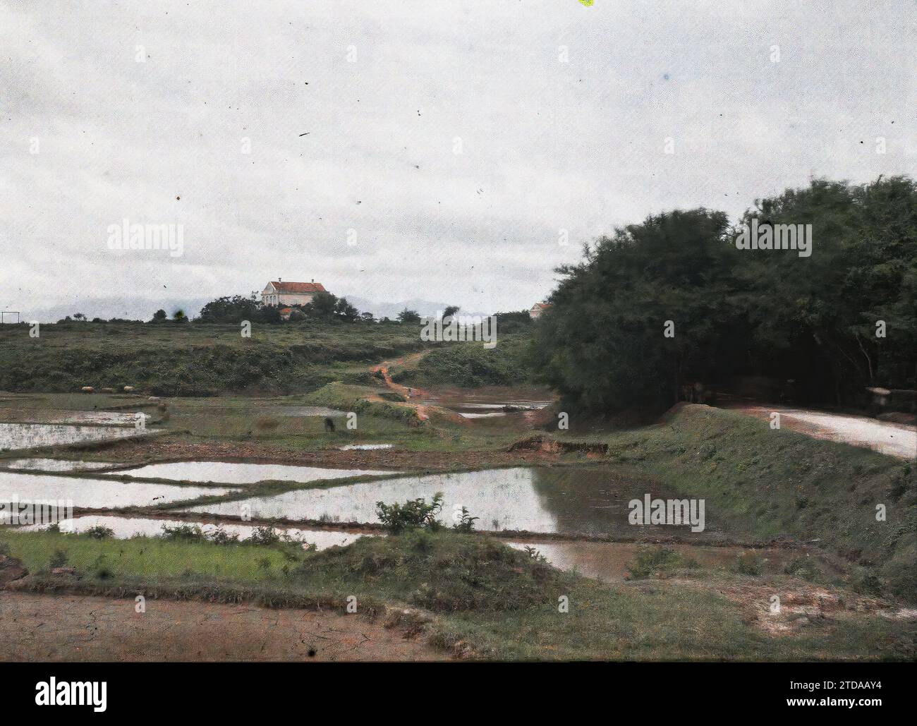 Tong, So' n-tâi Province, Tonkin, Indochina A rice field on the ...