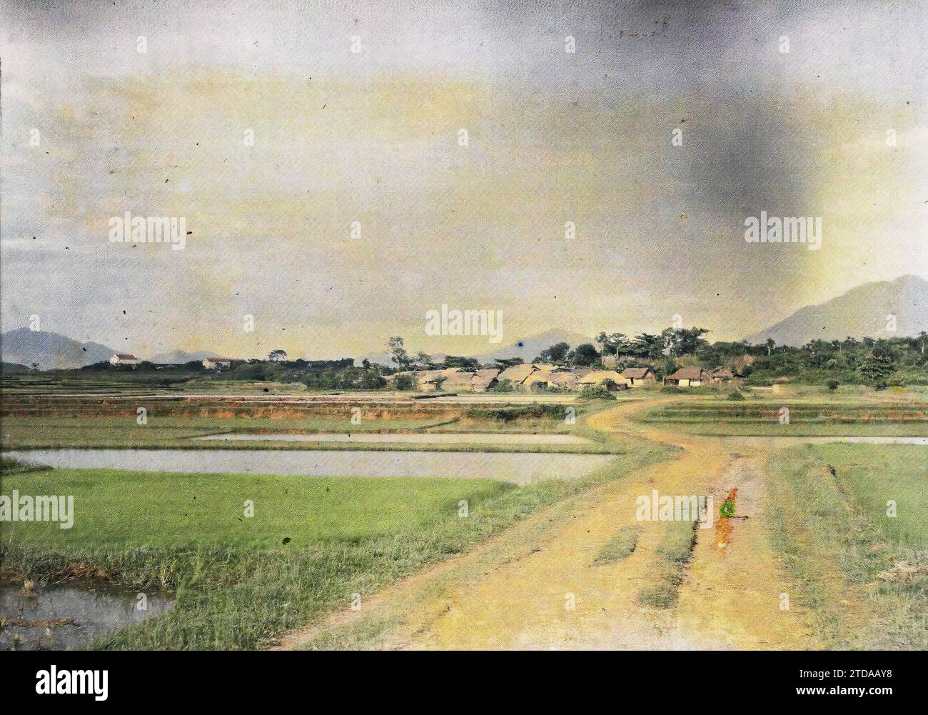 Terraced rice fields bordering hi-res stock photography and images - Alamy