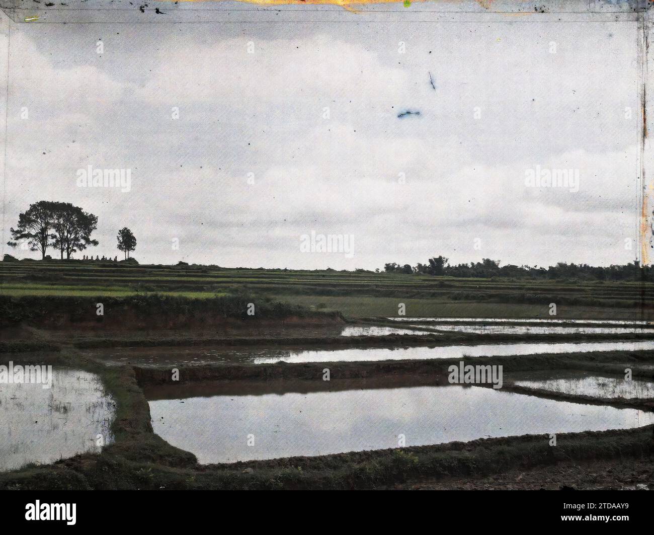 Tong, Province of Son-tai, Tonkin, Indochina Tiered rice fields on the ...