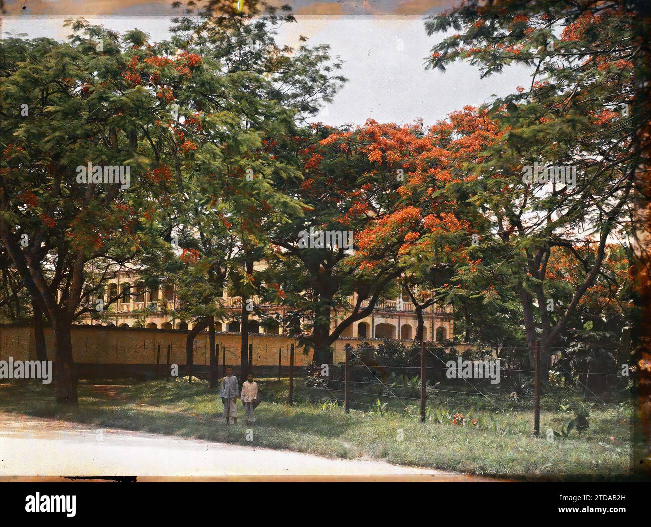 Hà-nôi, Hainoi Vietnam, Tonkin, Indochina Two children under the ...