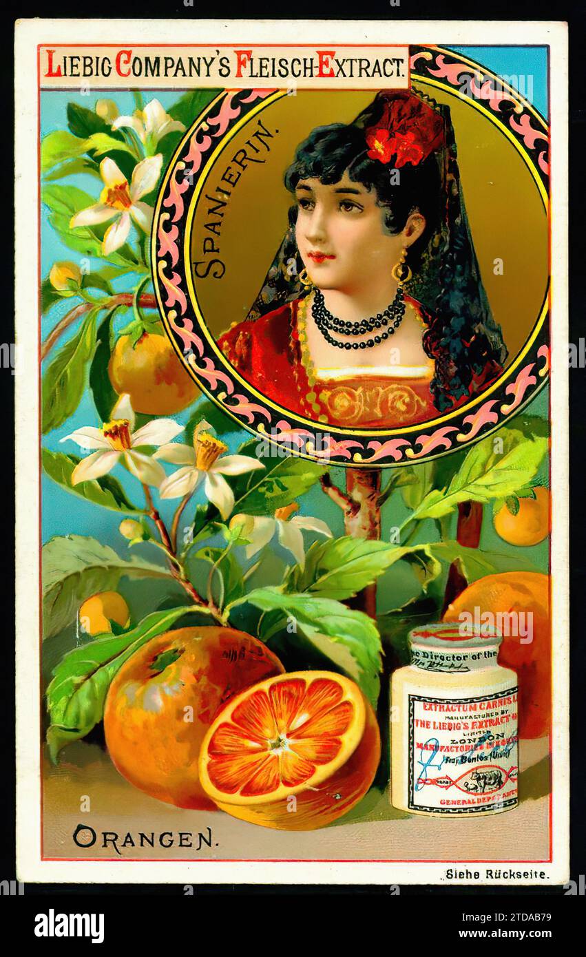 Fruit & National Beauties 003 - Vintage Liebig Trade Card Stock Photo ...