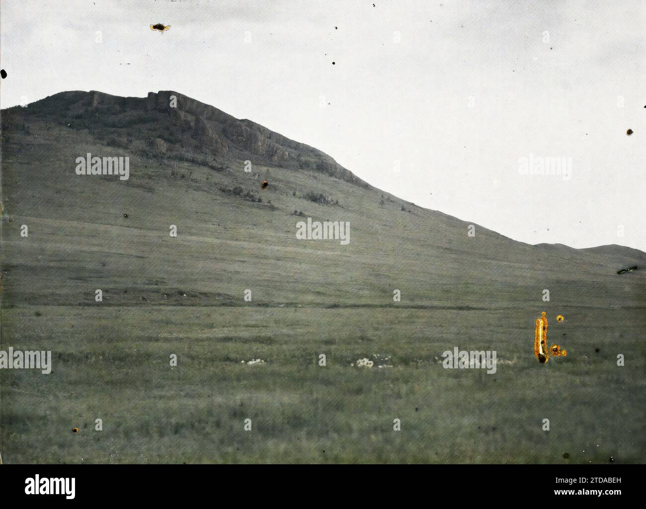 1913 mongolie hi-res stock photography and images - Alamy