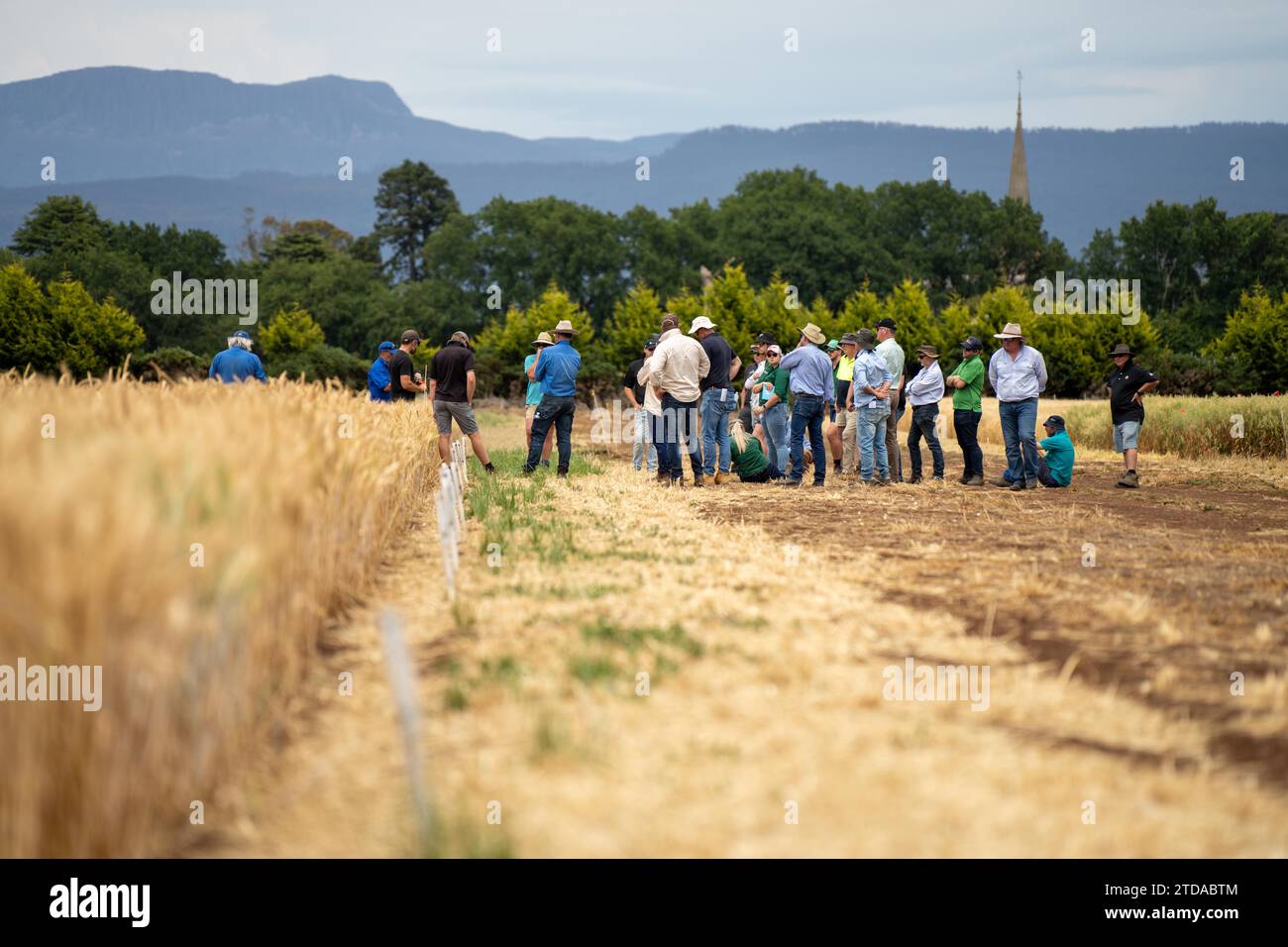agricultural students in a field learning about crop farming Stock ...