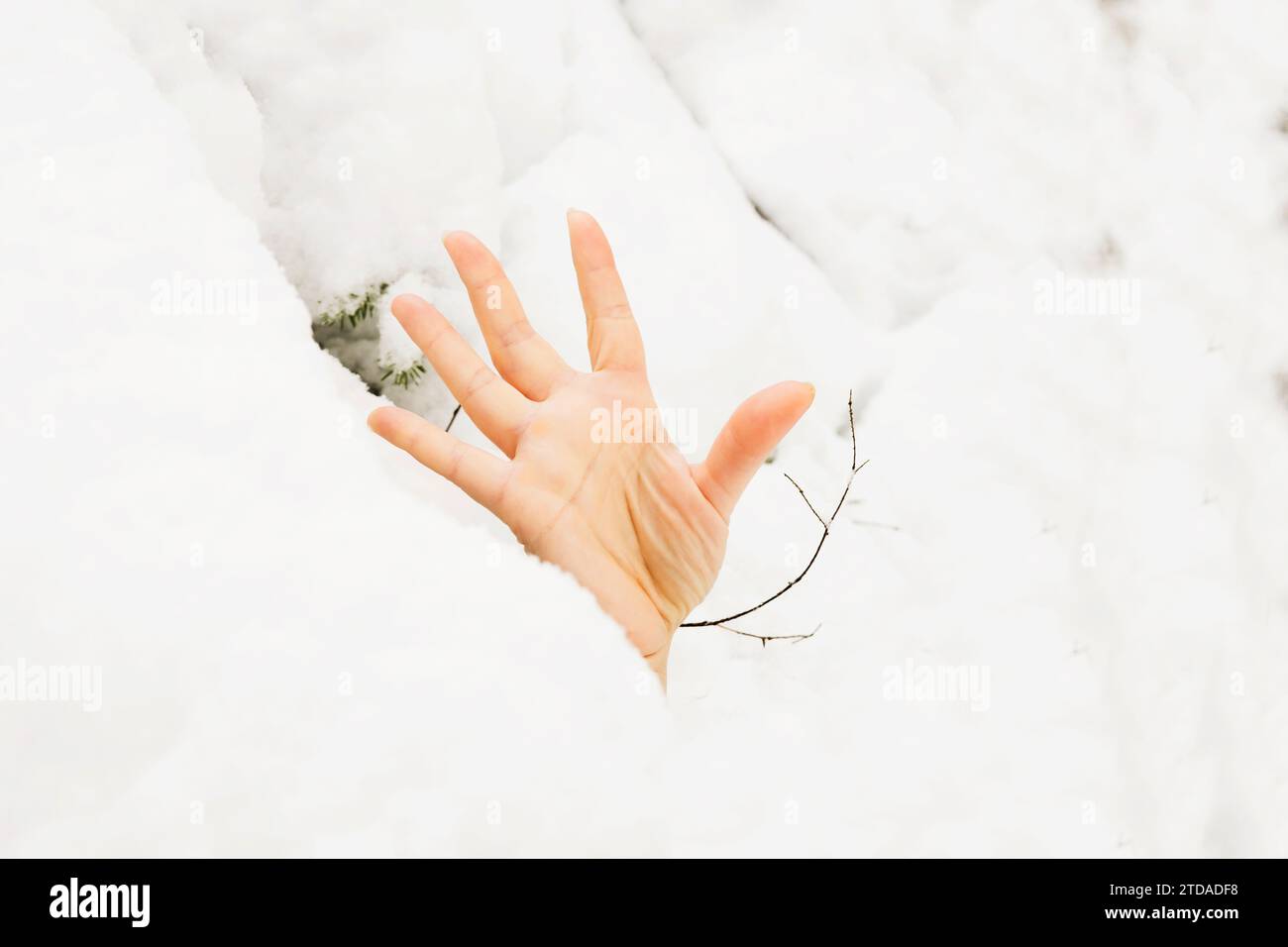 an arm sticking out from under the snow, an avalanche, a snowfall, a ...