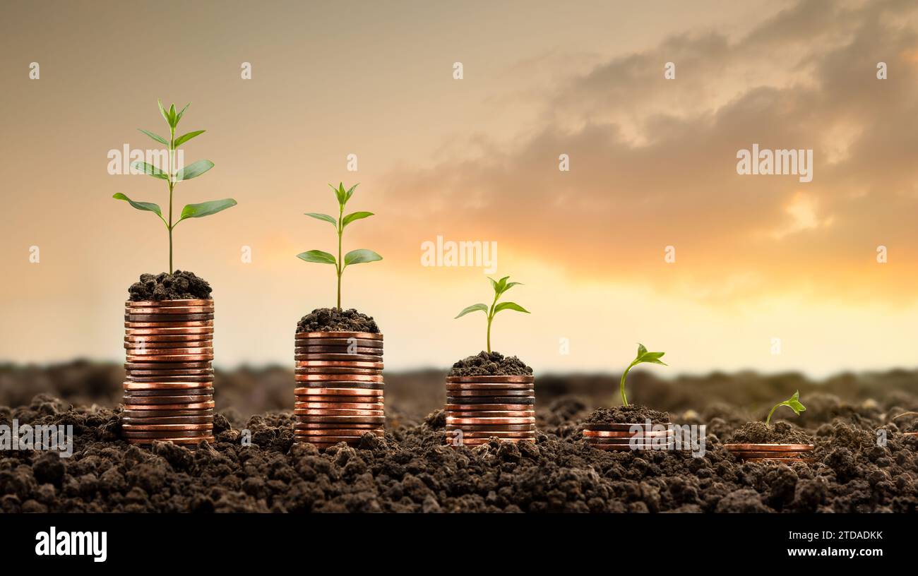 Shotlistbanking hi-res stock photography and images - Alamy