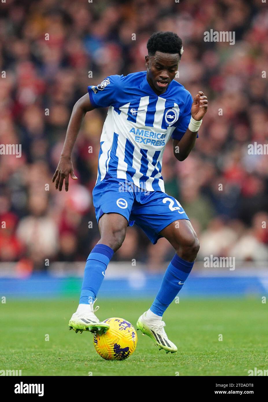 Brighton and Hove Albion's Simon Adingra during the Premier League ...