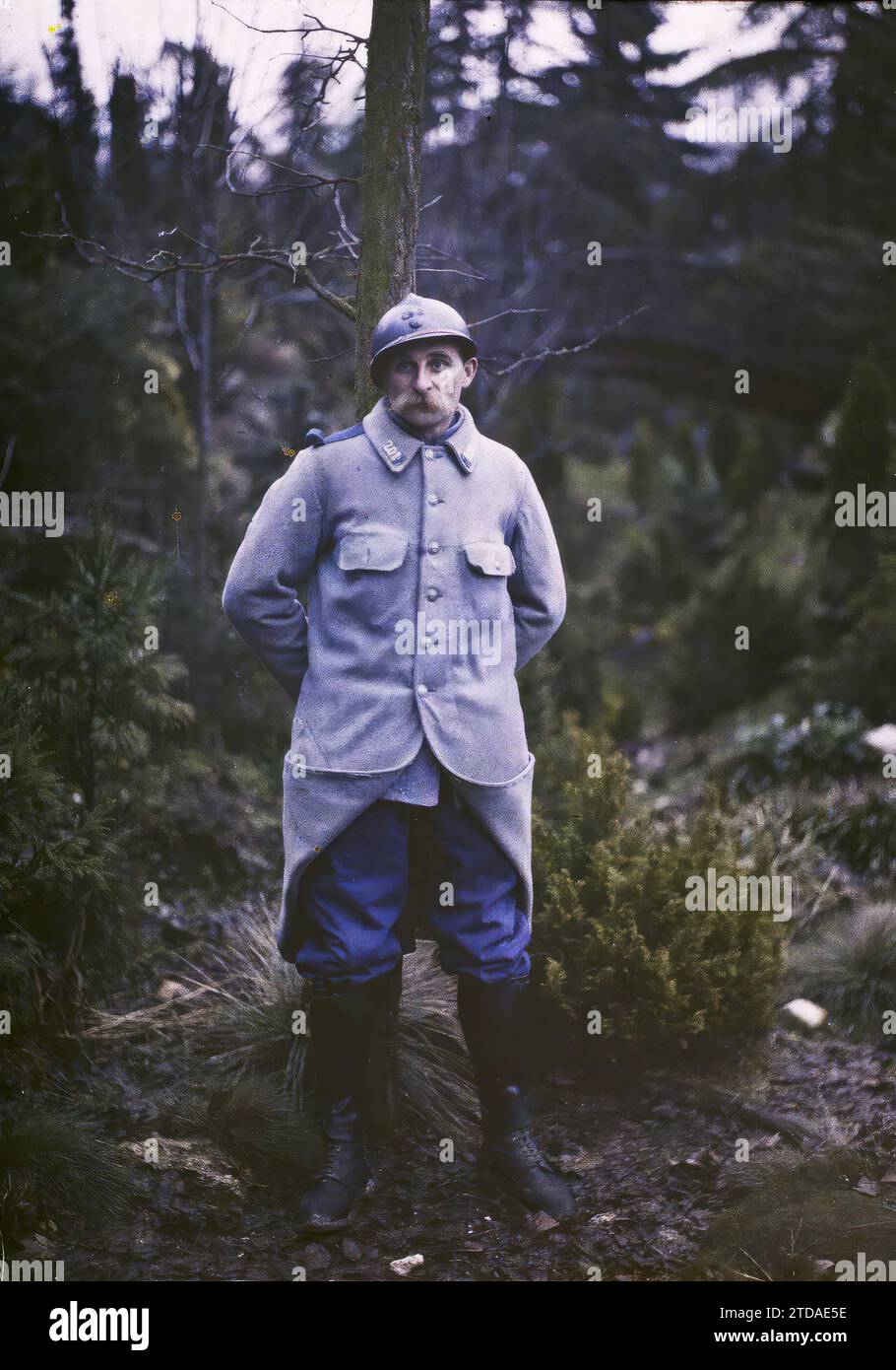 Albert porcher hi-res stock photography and images - Alamy