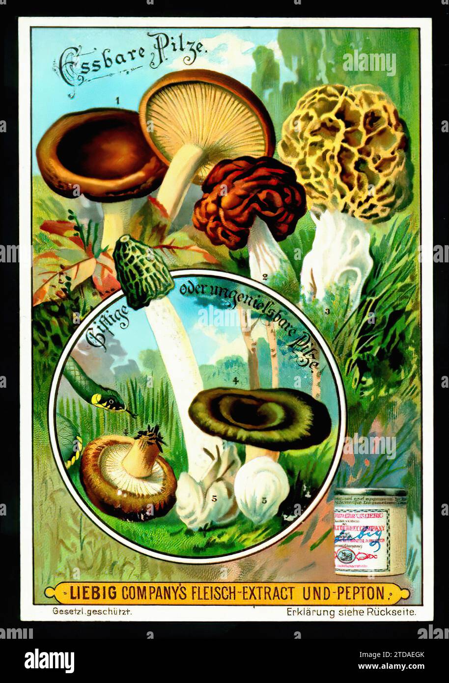 Liebig collection card hi-res stock photography and images - Alamy