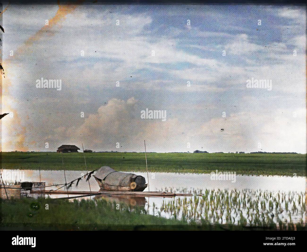 Hà-nôi, Hainoi Vietnam, Tonkin, Indochina Rice fields and a sampan on ...