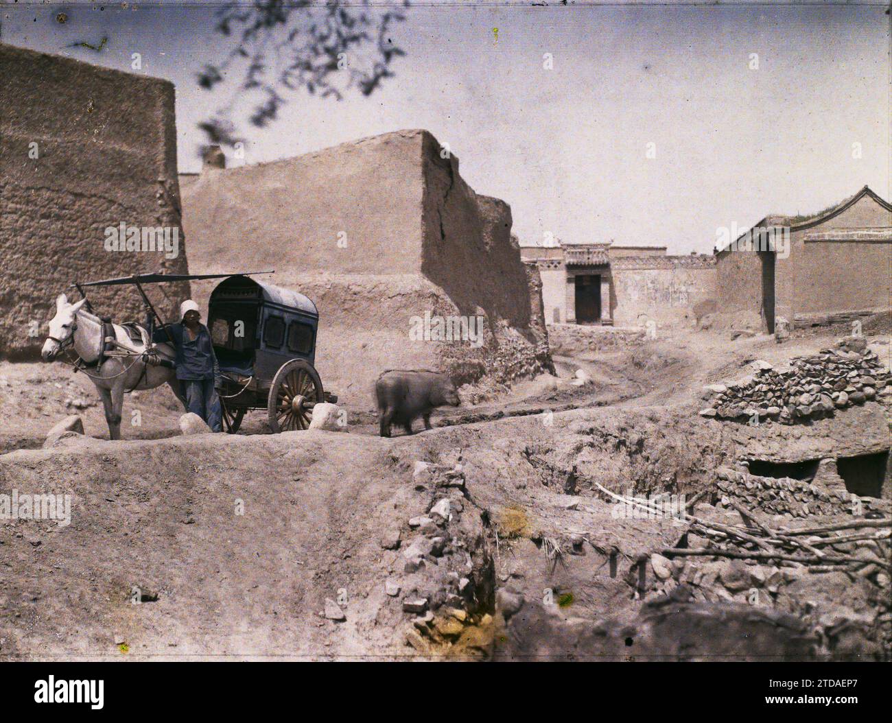Kalgan, China One Street, Transport, Animal, Habitat, Architecture ...