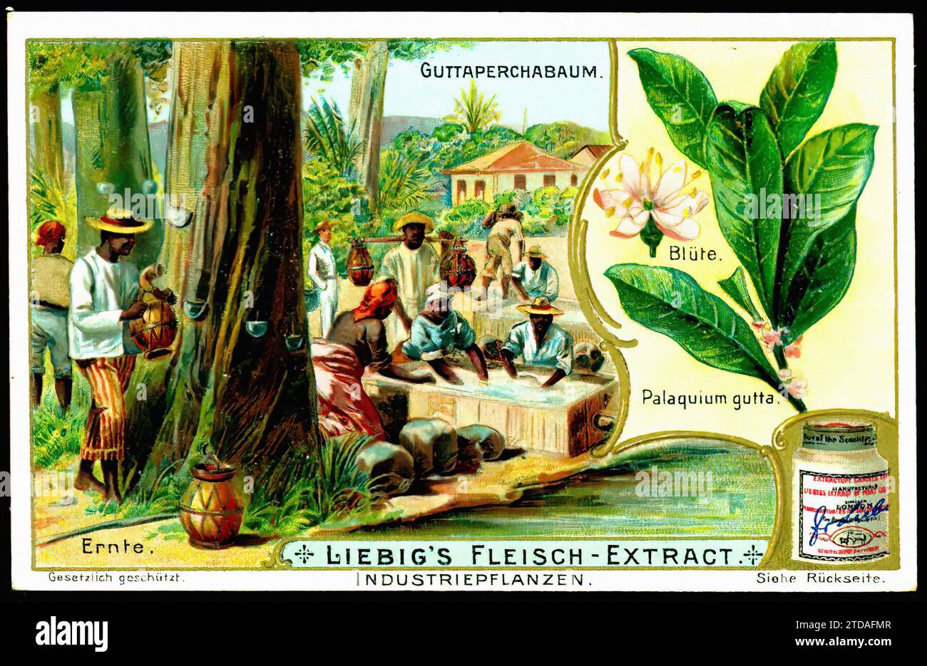 Vintage gutta percha hi-res stock photography and images - Alamy