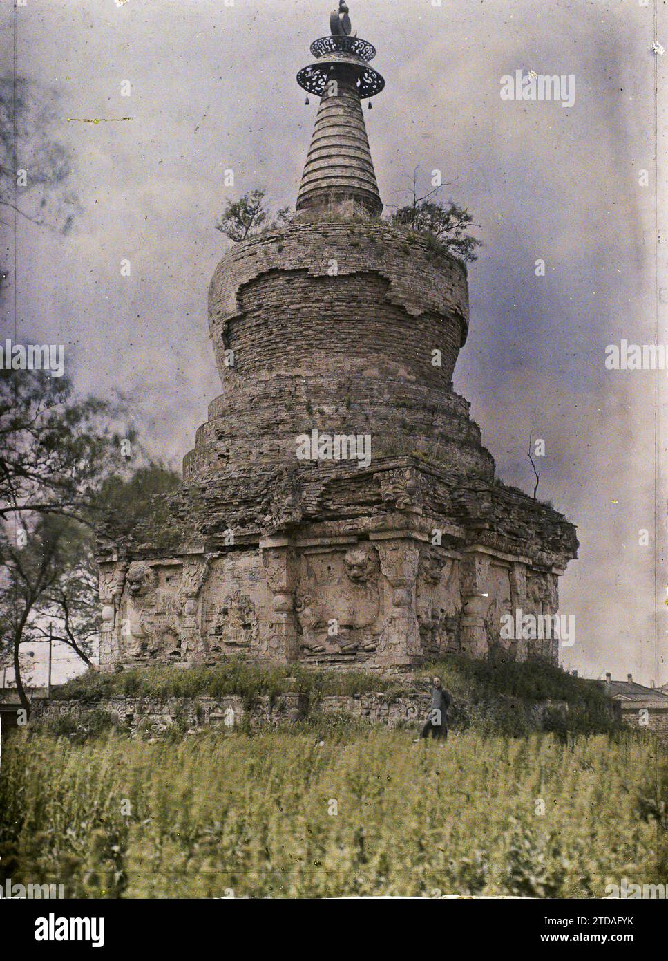 Buddhism of tibetan rite represented animal fantastic animal to hi-res ...