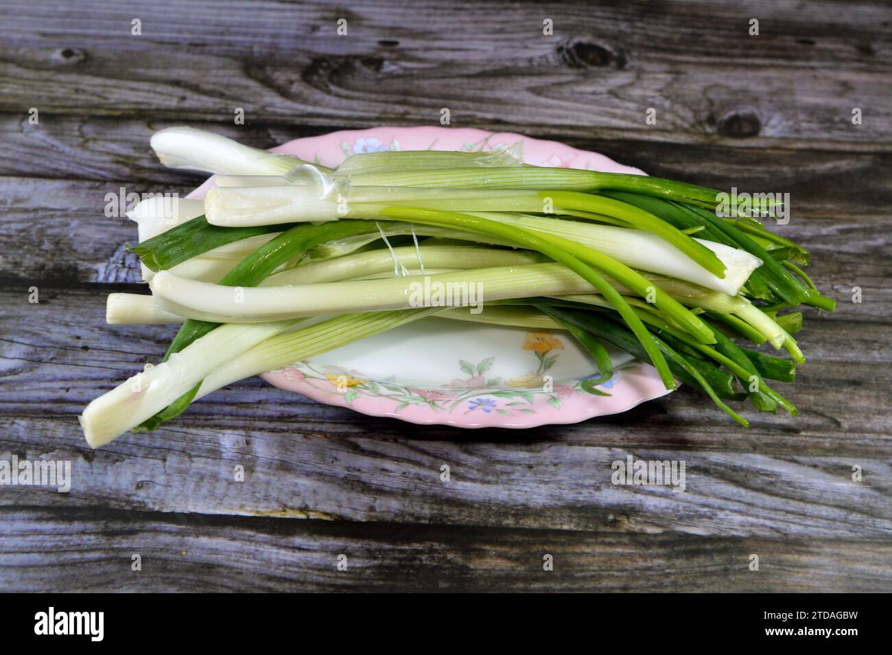 Scallions, green spring onions, vegetables derived from various species ...
