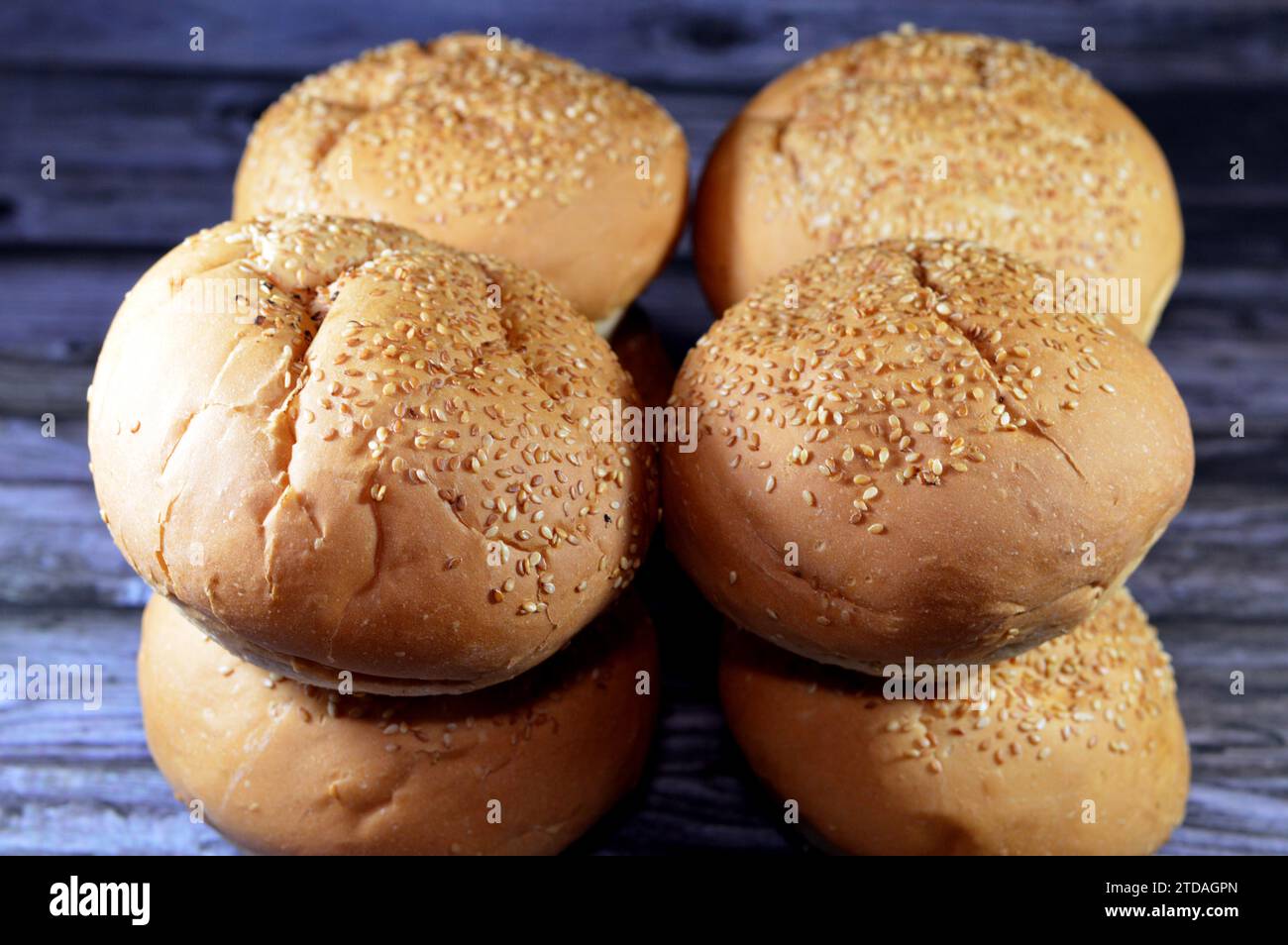 Round hand sized hamburger burger bun baked and covered with sesame ...