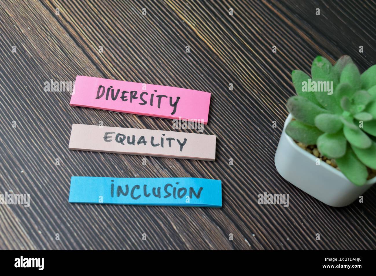 Concept Of Diversity Equality Inclusion Write On Sticky Notes