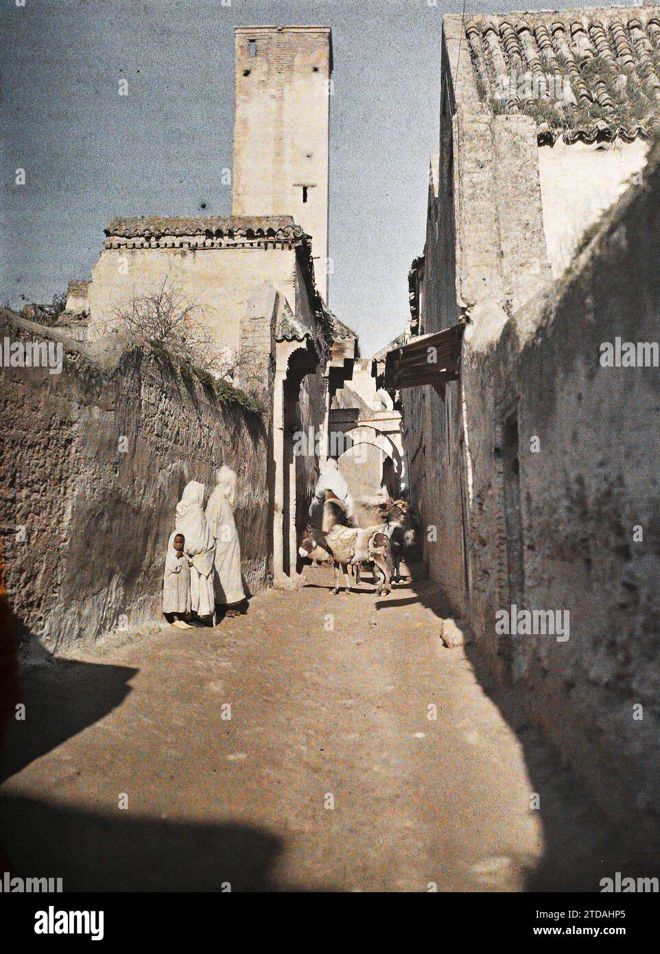 Morocco donkeys passing hi-res stock photography and images - Alamy