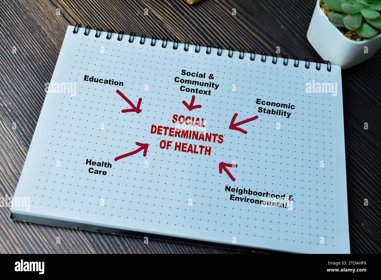 Concept of Social Determinants Of Health write on book with keywords ...