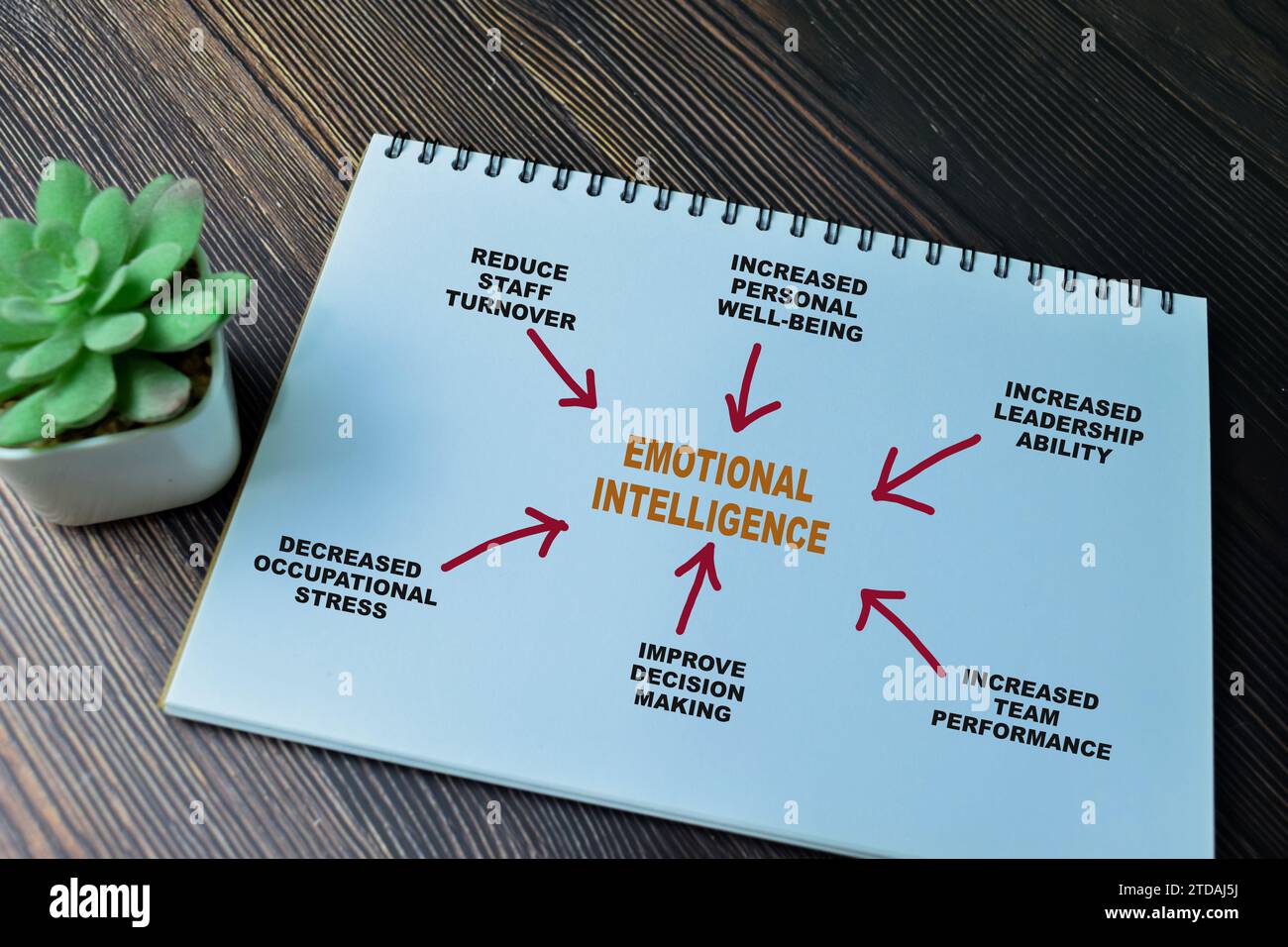 Concept of Emotional Intelligence write on book with keywords isolated ...