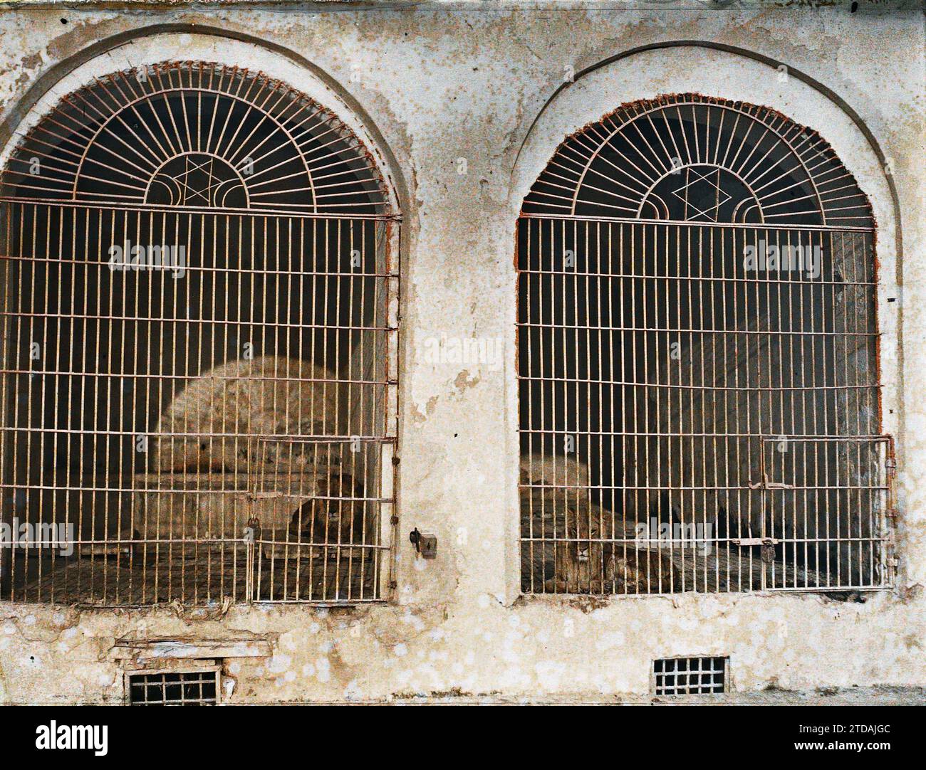 Moulay haffids menagerie hi-res stock photography and images - Alamy