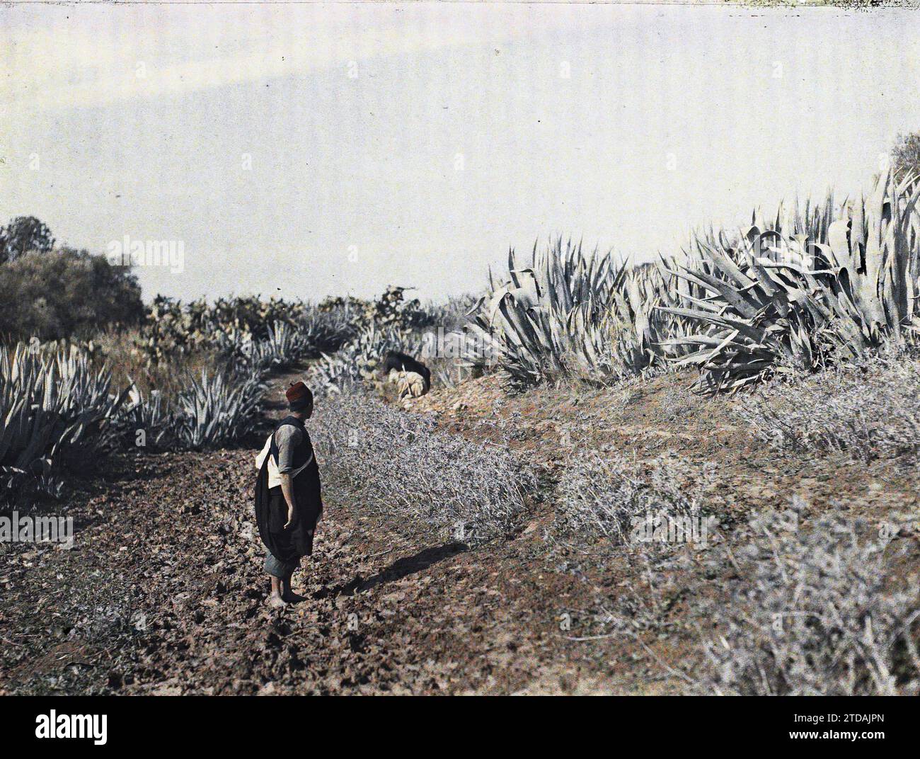 Moulay edriss hi-res stock photography and images - Alamy