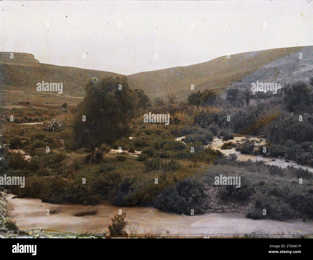 Morocco wadi belit hi-res stock photography and images - Alamy