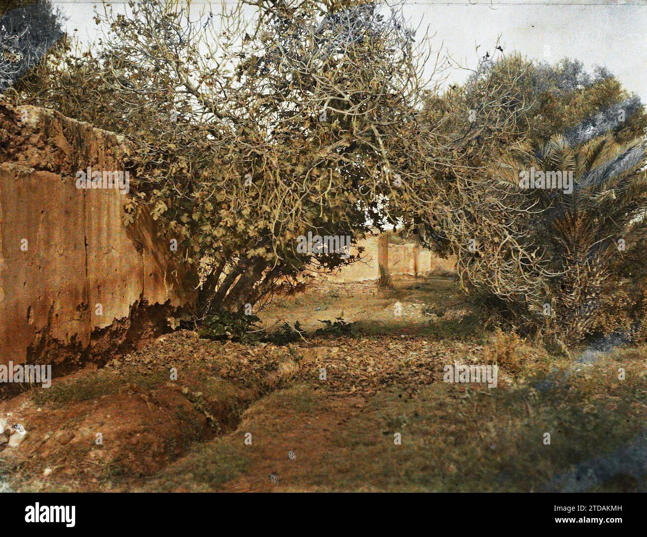 Maghzen gardens hi-res stock photography and images - Alamy