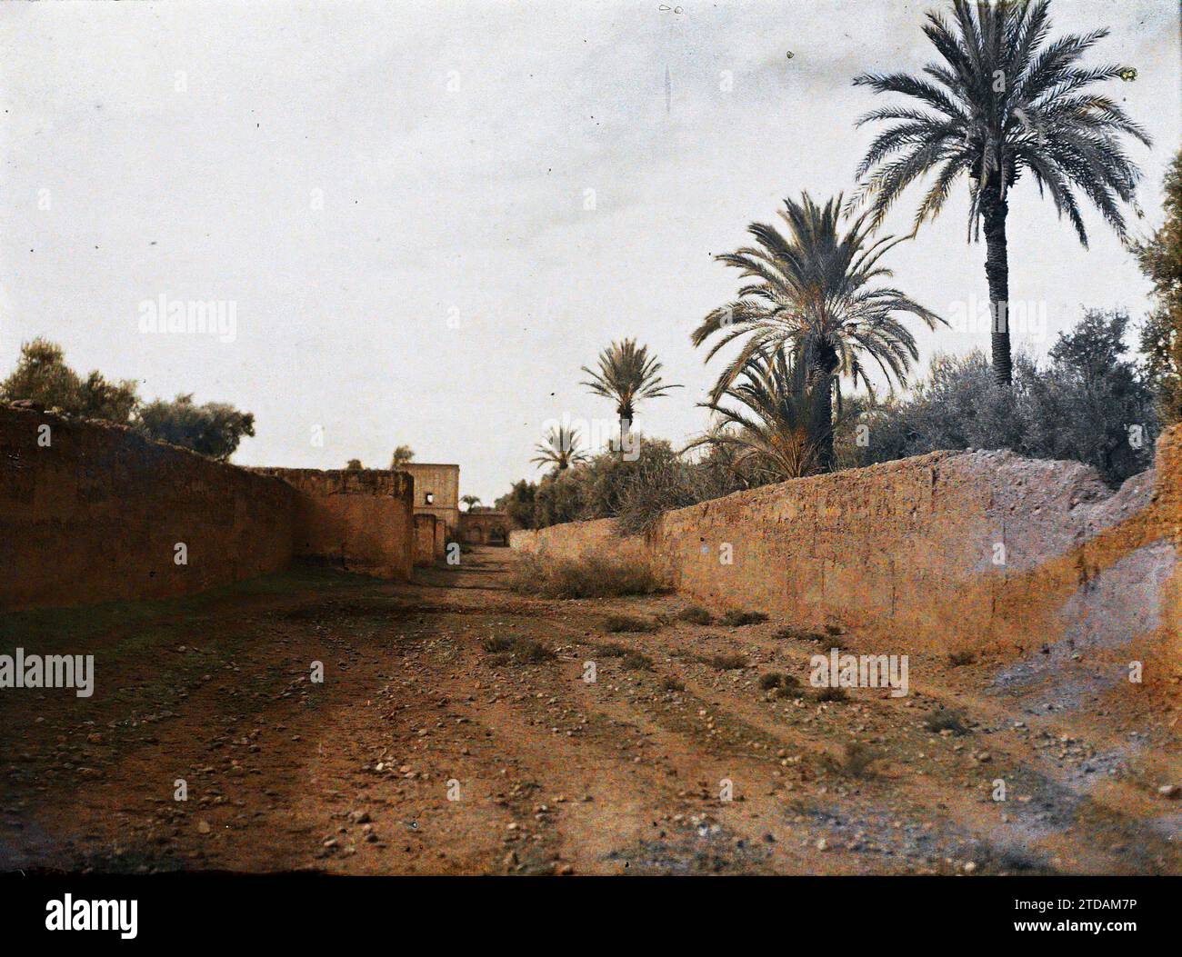 Marrakech, Morocco The gardens of Dar el Maghzen, Habitat, Architecture ...