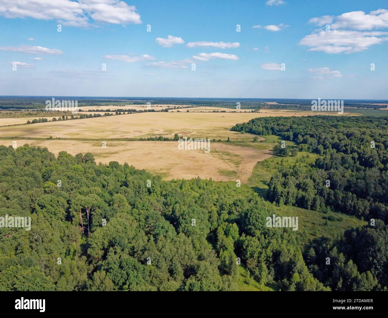 Green deciduous forest next to a farm field. Landscape from a bird's ...