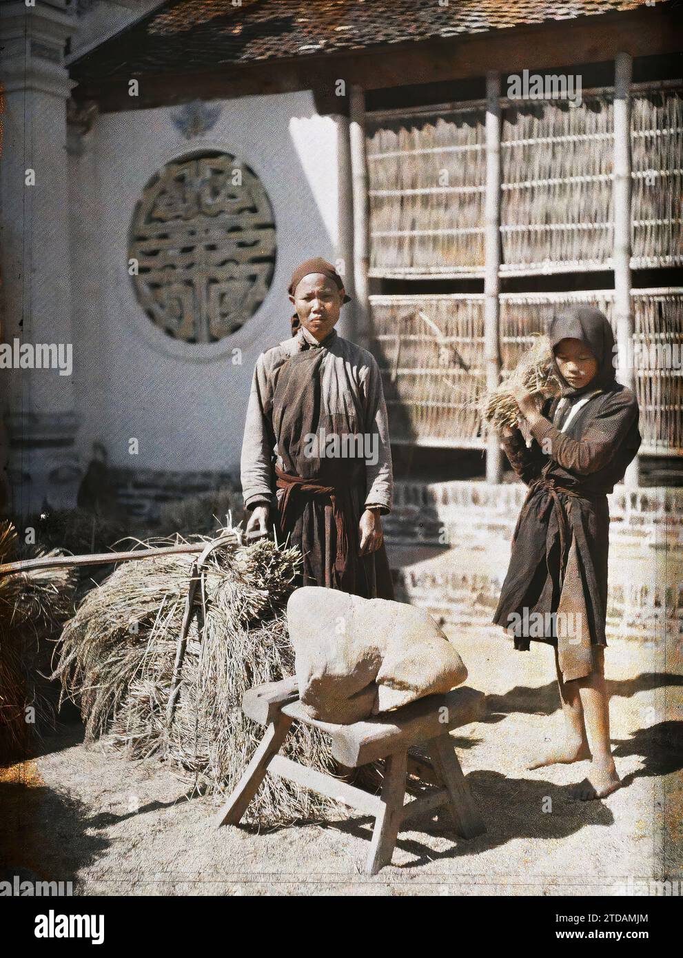 Dap-Câu, Bac-Ninh, Tonkin, Indochina Threshing rice after the harvest ...